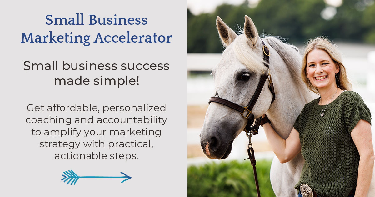 Small Business Marketing Accelerator | Jamie Samples | Yellow Barn Media